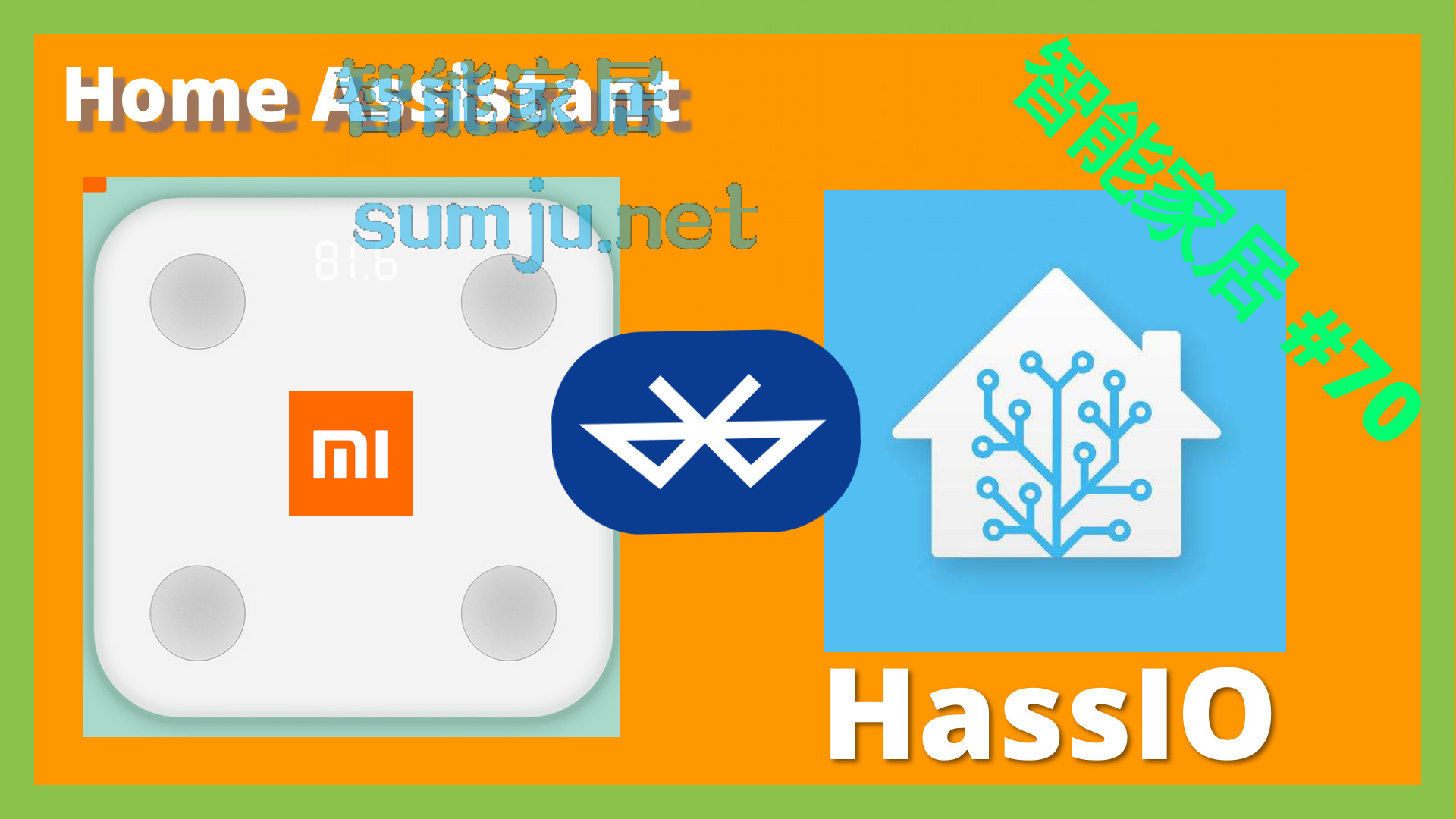 HassOS/HassIO 极简安装小米体脂秤中文版，支持 Home Assistant – 书山有路勤为径